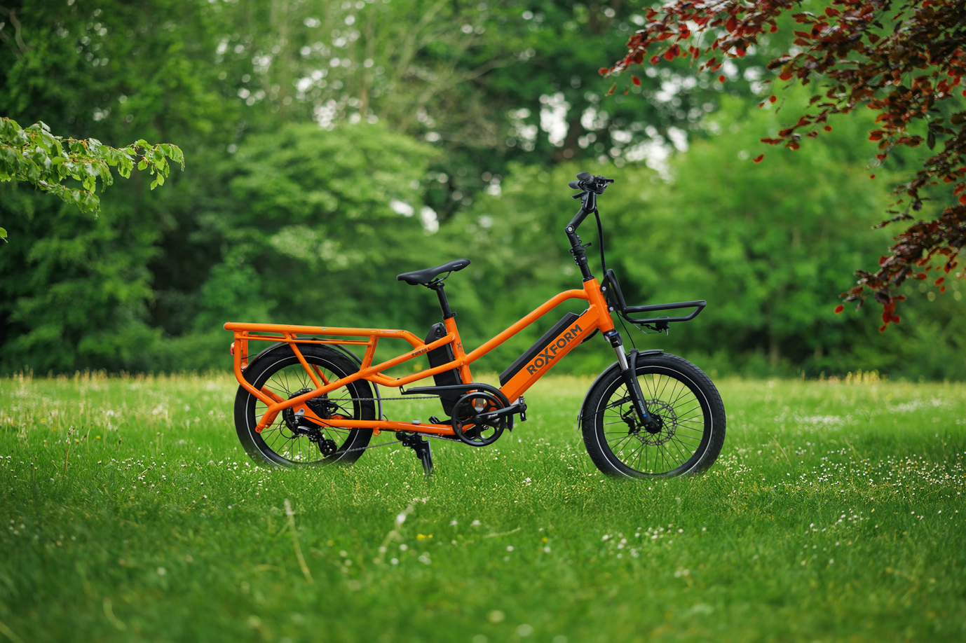 Taking Your Child to School by E-Bike: Safe, Affordable and Fun – Roxform
